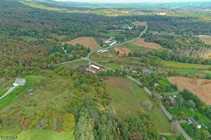 Raising Chickens, Lambs, and Pigs on the Slopes of the Rutan Hill Volc